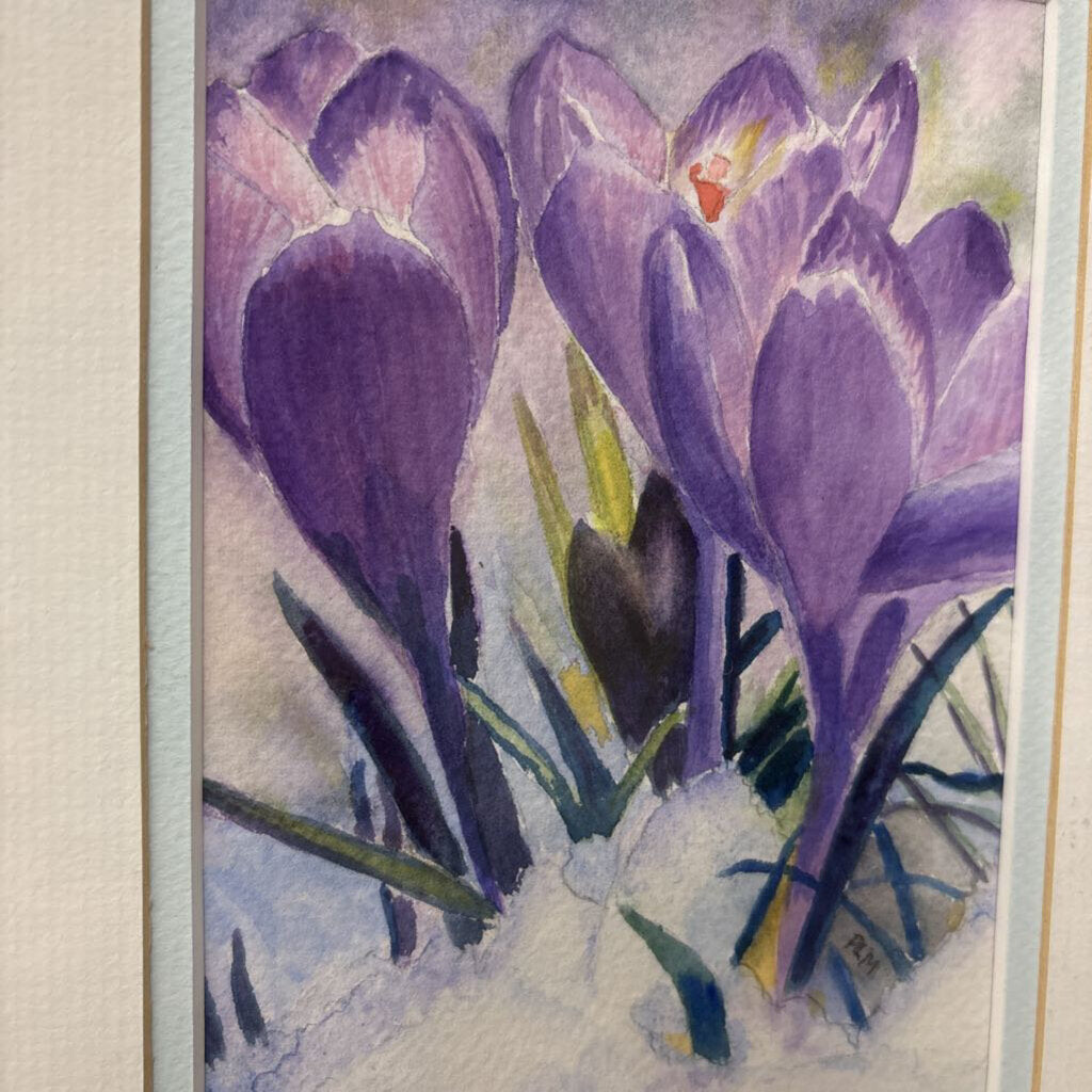 Original Watercolour " Crocus" by Pat McAuley – The Carson House